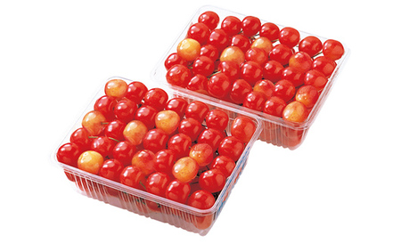 《先行予約》贈答用 2024年 山形県産 さくらんぼ 紅秀峰 秀 2L 手詰 1kg(500g×2) F2Y-5667 | 山形県（県庁） | ふるさと納税サイト「ふるなび」