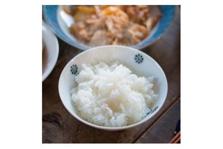 令和3年度産 伝説の庄内米 雪若丸 5kg F2Y-1945 | 山形県（県庁） | ふるさと納税サイト「ふるなび」