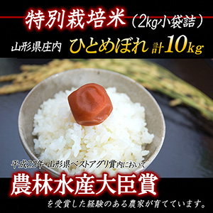 【令和5年産米】 ひとめぼれ 精米 2kg×5袋 山形県庄内産 米 お米 ブランド米 銘柄米 備蓄 日本米 コメ ごはん ご飯 食品 山形県 F2Y-3129 | 山形県（県庁） | ふるさと ...