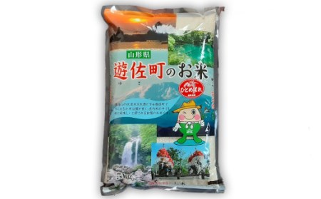 【定期便】山形県産 ひとめぼれ 5kg×5ヶ月連続（計25kg） F2Y-3214 | 山形県（県庁） | ふるさと納税サイト「ふるなび」
