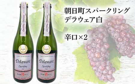 山形県産 スパークリングワイン 辛口 5本セット F2Y-3497 | 山形県（県庁） | ふるさと納税サイト「ふるなび」