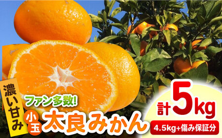 完熟 小玉太良みかん 計5kg（4.5kg＋傷み保証分500g） / 佐賀県 / 山本農園 [41ATBT004] | 佐賀県（県庁） | ふるさと納税サイト「ふるなび」