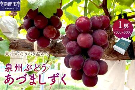 泉州ぶどう あづましずく 1房【065D-009】 | 大阪府泉南市 | ふるさと納税サイト「ふるなび」