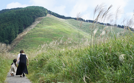 曽爾村地域旅行券 ～25,000円分～ めぐみ感じる曽爾村 NARA SONI VILLAGE 地域旅行券 / 旅行 関西 近畿 奈良 曽爾 ...