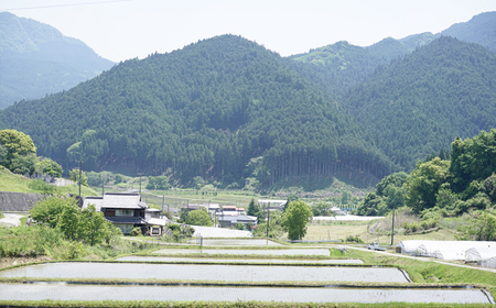 曽爾村地域旅行券 ～25,000円分～ めぐみ感じる曽爾村 NARA SONI VILLAGE 地域旅行券 / 旅行 関西 近畿 奈良 曽爾 ...