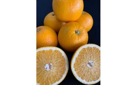 BF6068_はっさく 赤秀品2L、3Lサイズ 5kg | 和歌山県湯浅町 | ふるさと納税サイト「ふるなび」