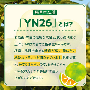 ZT6404_有田みかん極早生 YN26 訳あり ご家庭用 約5kg | 和歌山県湯浅町 | ふるさと納税サイト「ふるなび」