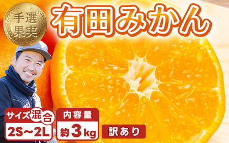 【まごころ手選別】和歌山産 有田みかん 3kg 家庭用(2S～2Lサイズ混合) ※2025年11月上旬～2026年1月下旬頃に順次発送予定 | 和歌山県美浜町 | ふるさと納税サイト「ふるなび」