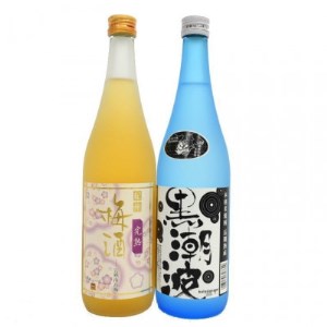 焼酎 黒潮波(くろしおなみ)720mlと紀州完熟南高梅「梅酒」720mlの2本セット(日高川町)【1334818】 | 和歌山県日高川町 ...