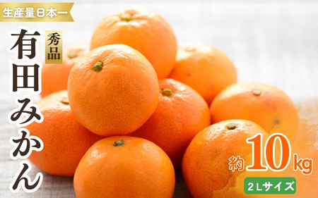 紀州有田みかん 秀品 約10kg 2Lサイズ ※2024年11月下旬頃より順次発送予定【sml129】 | 和歌山県太地町 | ふるさと納税サイト「ふるなび」