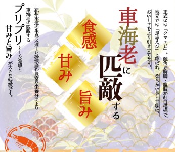 紀州和歌山産天然足赤えび540g×2箱（270g×4パック）化粧箱入 ※2025年11月末頃〜2026年1月下旬頃順次発送予定（お届け日指定不可）／海老 エビ えび クマエビ 足赤 天然 ...
