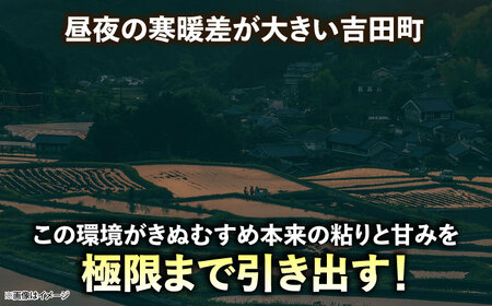 【全3回定期便】【新米】吉田げんき米きぬむすめ 10kg（5kg×2袋） 島根県雲南市/有限会社藤本米穀店 ｜ブランド米 きぬ娘 白米 精米 コメ 10キロ[AIDB133] | 島根県雲南市 ...