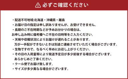 岡山白桃 エース 3玉×約300g（3Lサイズ） 計約900g 岡山県産【2026年7月上旬～8月下旬発送予定】 白桃 桃 もも モモ | 岡山県奈義町 | ふるさと納税サイト「ふるなび」