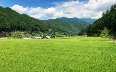 【3回定期便】白米 10kg 令和6年産 あきたこまち 岡山 あわくら源流米 K-bg-BDCA | 岡山県西粟倉村 | ふるさと納税サイト ...