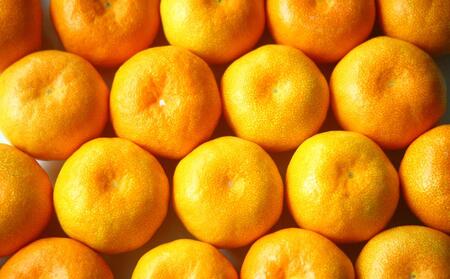 ゆら早生みかん 約5kg（L～2Sサイズ） | 香川県坂出市 | ふるさと納税サイト「ふるなび」