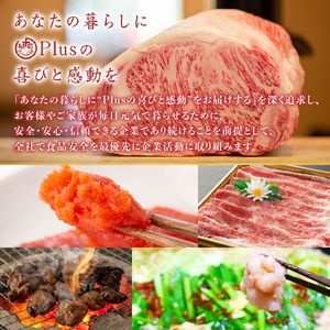【A4～A5】博多和牛焼肉用 1kg（500g×2p） 黒毛和牛 焼肉 和牛 国産 牛肉 BBQ グルメ 1kg 焼肉 バラ 肩ロース モモ A4 A5 福岡県 八女市 214-023｜福岡県 ...