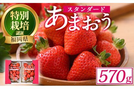 ＜予約受付中！2024年12月中旬より順次発送予定＞うるう農園のスタンダードあまおう(計570g・285g×2P) 苺 いちご イチゴ 果物 フルーツ 国産 福岡県 ヨーグルト ジャム ...