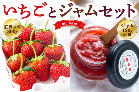 P122-01 eto farm いちごとジャムセット (紅ほっぺ300g・ジャム120g×3個) 1月お届け | 福岡県うきは市 ...