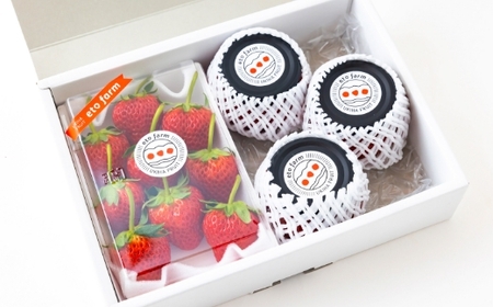 P122-01 eto farm いちごとジャムセット (紅ほっぺ300g・ジャム120g×3個) 1月お届け | 福岡県うきは市 ...