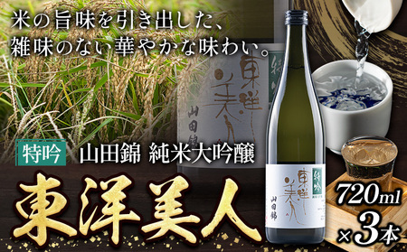 日本酒 新酒 東洋美人 特吟 山田錦 純米大吟醸 3本 計2160ml 1本あたり 720ml 福岡吟醸倶楽部株式会社《30日以内に出荷予定(土日祝除く)》福岡県 鞍手郡 鞍手町 酒 冷酒 ...