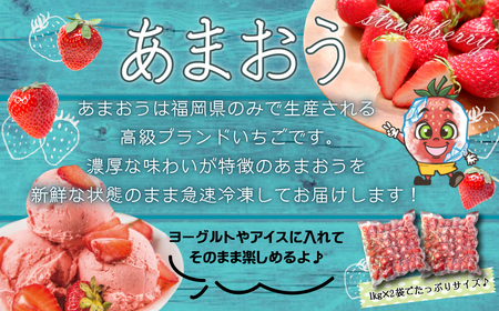 3S13 冷凍 あまおう カチカチ君 冷凍いちご 苺 冷凍あまおう (1kg×2袋) | 福岡県東峰村 | ふるさと納税サイト「ふるなび」