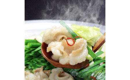 【全12回定期便】博多もつ鍋セット(九州醤油仕立て) 4～6人前 国産牛もつ600g【株式会社ベネフィス】 [ABDF158] | 福岡県築上 ...