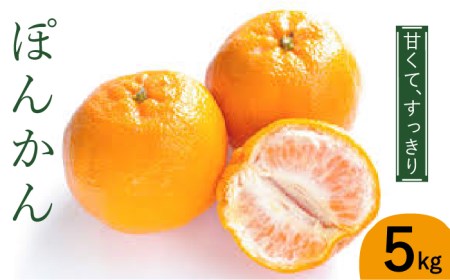 【2025年1月〜発送】ぽんかん 5kg （M～3L）/ みかん 南島原市 / 日野江 [SCY003] | 長崎県南島原市 | ふるさと納税サイト「ふるなび」
