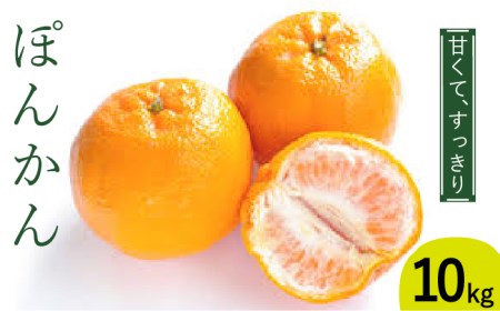 【2025年1月〜発送】ぽんかん 10Kg（M~3L）/ みかん 南島原市 / 日野江[SCY004] | 長崎県南島原市 | ふるさと納税サイト「ふるなび」