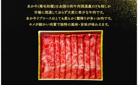 あか牛 リブローススライス セット ( あか牛リブローススライス 400g あか牛のたれ 200ml ) | 熊本県水俣市 | ふるさと納税サイト「ふるなび」