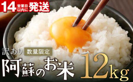 阿蘇のお米 12kg (6kg×2袋)【14営業日配送】 | 熊本県高森町 | ふるさと納税サイト「ふるなび」