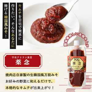 アリラン秘伝のたれギフトセット(合計3本) 調味料 たれ タレ セット 焼き肉 焼肉 焼肉のたれ 万能調味料 ヤンニョム 薬念 薬念醤 キムチ ...