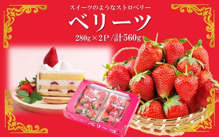 2338R_大分県ブランドいちご/スイーツみたいな「ベリーツ」560g（280g×2P） | 大分県国東市 | ふるさと納税サイト「ふるなび」