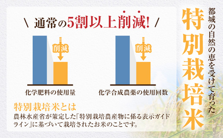 都城産ひのひかり特別栽培米「ぼんちそだち」10kg(5kg×2袋)_31-N501_(都城市) 都城産 お米 10kg 5kg×2 ひのひかり ぼんちそだち | 宮崎県都城市 | ふるさと納税 ...