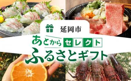 あとからセレクト60万円 N0159-YL002 | 宮崎県延岡市 | ふるさと納税サイト「ふるなび」