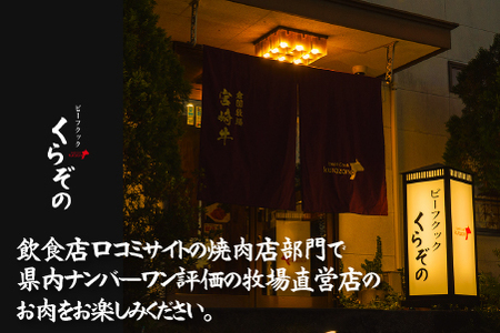 【D042・黒毛和牛レストラン直送】黒毛和牛切り落とし焼肉・よくばり厚切り食べ比べセット 600g（300g×2P 国産 牛肉 和牛 A4等級以上 訳あり 切り落とし 食べ比べ 焼肉 赤身 ...