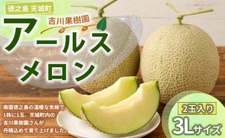 徳之島 天城町 吉川果樹園 アールスメロン 3Lサイズ 2玉 メロン マスクメロン | 鹿児島県天城町 | ふるさと納税サイト「ふるなび」
