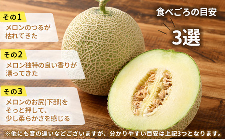 徳之島 天城町 吉川果樹園 アールスメロン 3Lサイズ 2玉 メロン マスクメロン | 鹿児島県天城町 | ふるさと納税サイト「ふるなび」