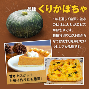 【2026年先行予約】前原さんの特選 じゃがいも ゴールド 8kg＆くりかぼちゃ 2玉 C062-T04 かぼちゃ 南瓜 先行予約 先行受付 ...