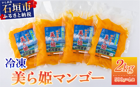 冷凍美ら姫マンゴー 2kg（500g×4袋）CB-4 | 沖縄県石垣市 | ふるさと納税サイト「ふるなび」