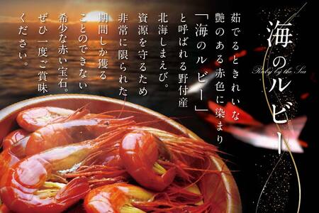 北海道野付産 北海シマエビ特大2L 1kg(500g×2)（NK0002RM0） | 北海道別海町 | ふるさと納税サイト「ふるなび」