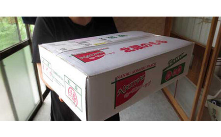 ≪先行予約≫ もぎたて発送 川中島白桃 特選 (大玉) 約3kg (7～11個) 【誠果園】 F21U-296 | 青森県南部町 | ふるさと納税サイト「ふるなび」