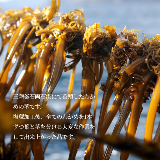 fn-72-027 三陸釜石・漁師直送 湯通し塩蔵茎わかめ (500g×10袋) 両石港 隆丸 | 岩手県釜石市 | ふるさと納税サイト「ふるなび」