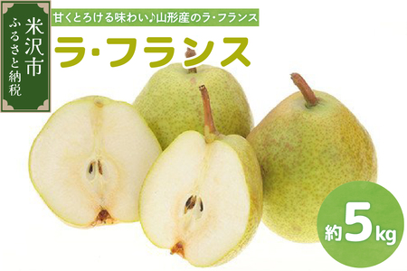 【先行予約】令和7年産 ラ・フランス 5kg（14～16玉）2025年11月中旬～ お届け ラフランス 洋梨 西洋梨 2025年産 | 山形県米沢市 | ふるさと納税サイト「ふるなび」