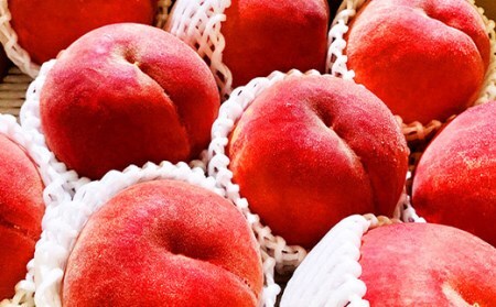 《先行予約》山形県中山町 厳選フルーツ定期便 全7回 【2026年6月開始】 F4A-0368 | 山形県中山町 | ふるさと納税サイト「ふるなび」