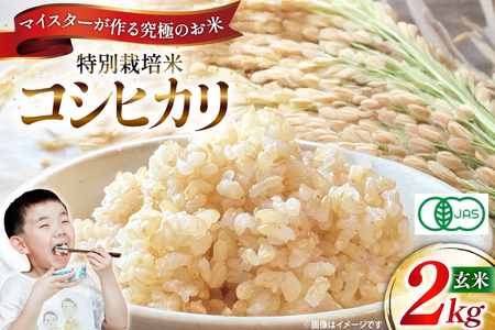 【遠藤農園】有機JAS 令和6年度 山形県高畠町産 有機栽培米 コシヒカリ 玄米 2kg（1袋） げんまい 米 お米 おこめ ごはん ブランド ...