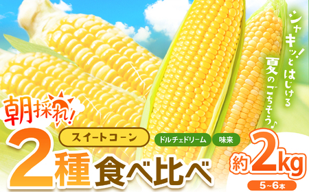 とうもろこし 2種食べ比べミックス 味来×ドルチェドリーム 約2㎏（5～6本 | 千葉県君津市 | ふるさと納税サイト「ふるなび」