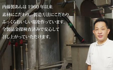 あんこ 2個セット (粒餡・粒餡) 各500g 計1kg 内藤製餡 内藤のあんこ 美味しい 練りあん 粒餡 焼き栗餡 大田区お土産百選 おはぎ ...