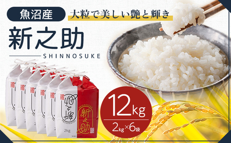 【新米先行受付】新之助12kg(2kg×6袋) | 新潟県十日町市 | ふるさと納税サイト「ふるなび」