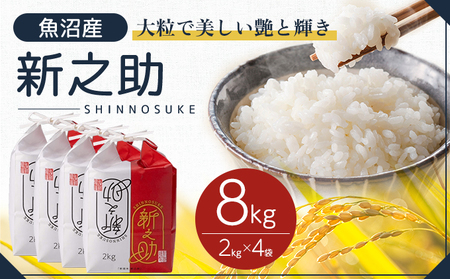 【新米先行受付】新之助8kg(2kg×4袋) | 新潟県十日町市 | ふるさと納税サイト「ふるなび」