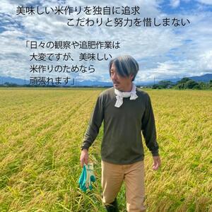【2月下旬発送】令和7年産 上越市産 コシヒカリ 5kg 5キロ 精米 新潟県 上越市 板倉区 コメランド こしひかり 限定 おすすめ 米 ...
